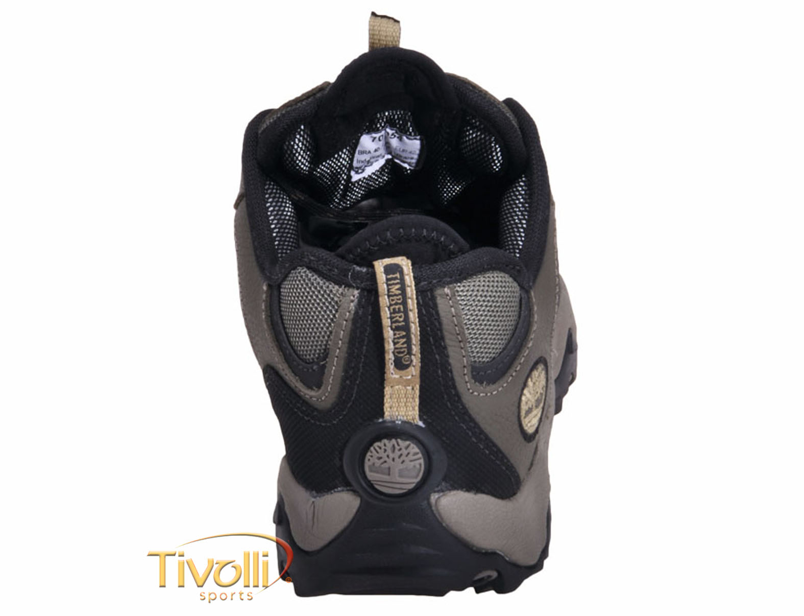 Tênis Timberland Gorge C2 > Castanho 38 ao 44 >